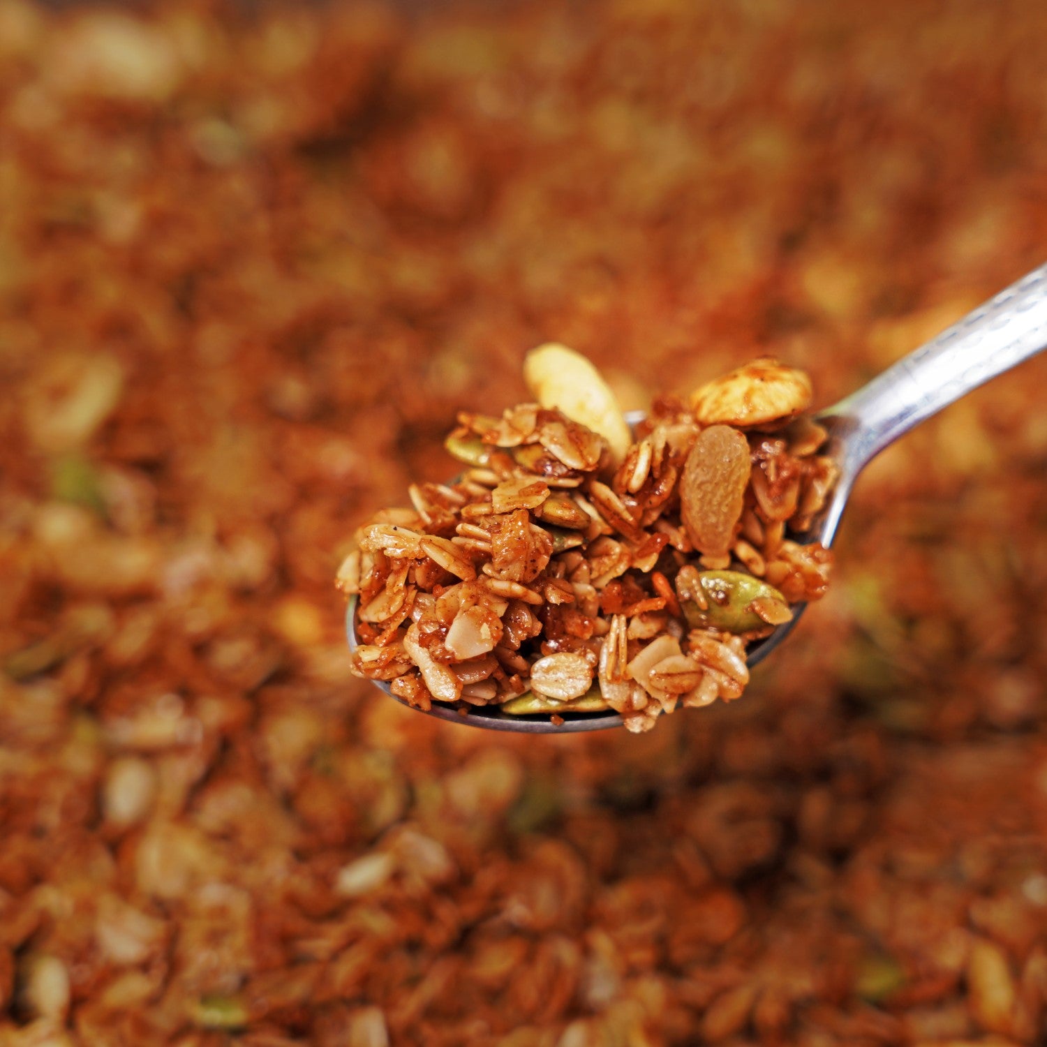 Buy Healthy Chocolate Granola Online – Velvet Fine Chocolates